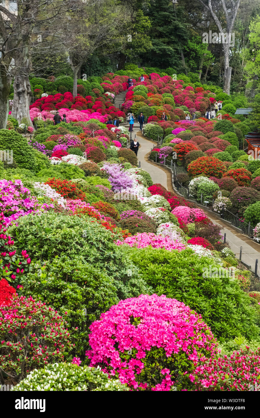 Azalea nezu bunkyo ku japan shrine tokyo hi-res stock photography and ...
