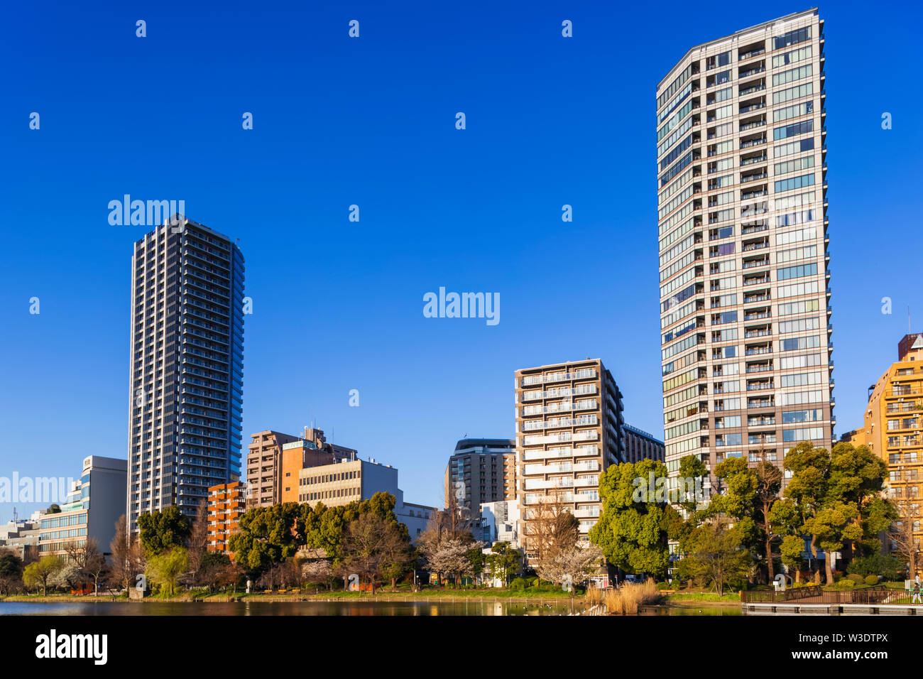 Japan, Honshu, Tokyo, Ueno, Ueno Park, Shinobazu Pond and Ueno Skyline ...