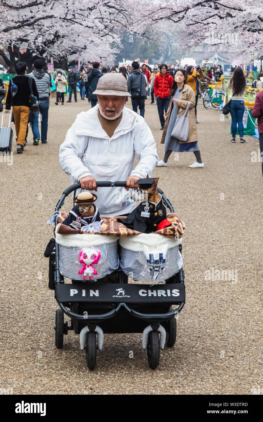Tokyo cherry blossom dog hi-res stock photography and images - Alamy