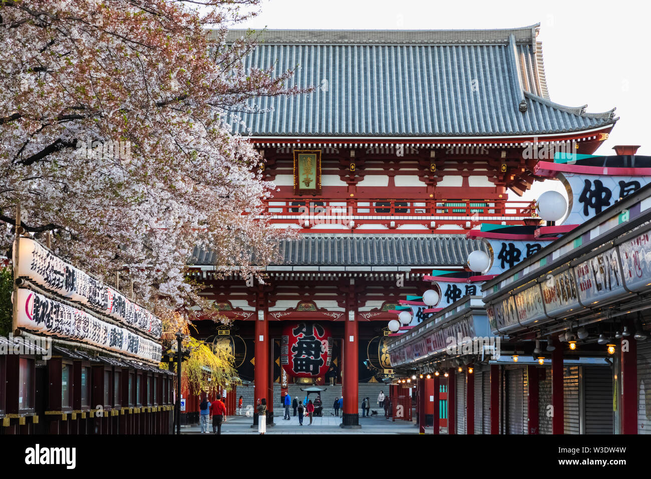 Sensoji buddhist temple cherry blossom hi-res stock photography and ...