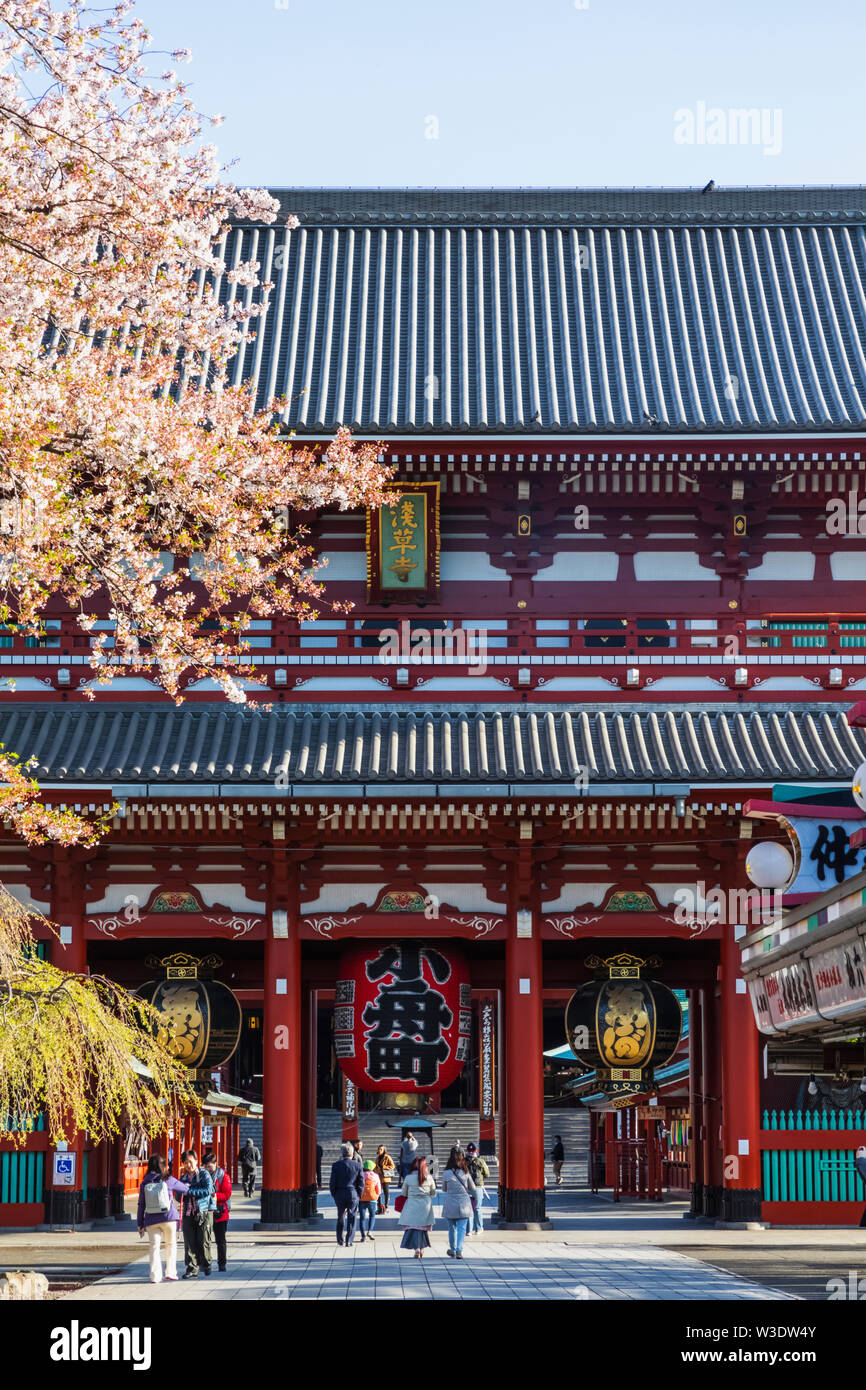 Sensoji buddhist temple cherry blossom hi-res stock photography and ...