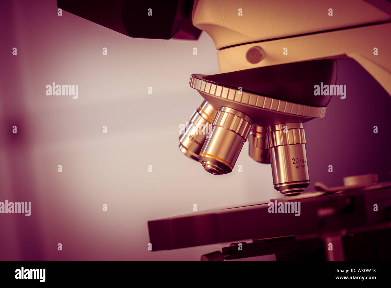 Scientific experiment in microbiological lab. Microscope and test tube ...