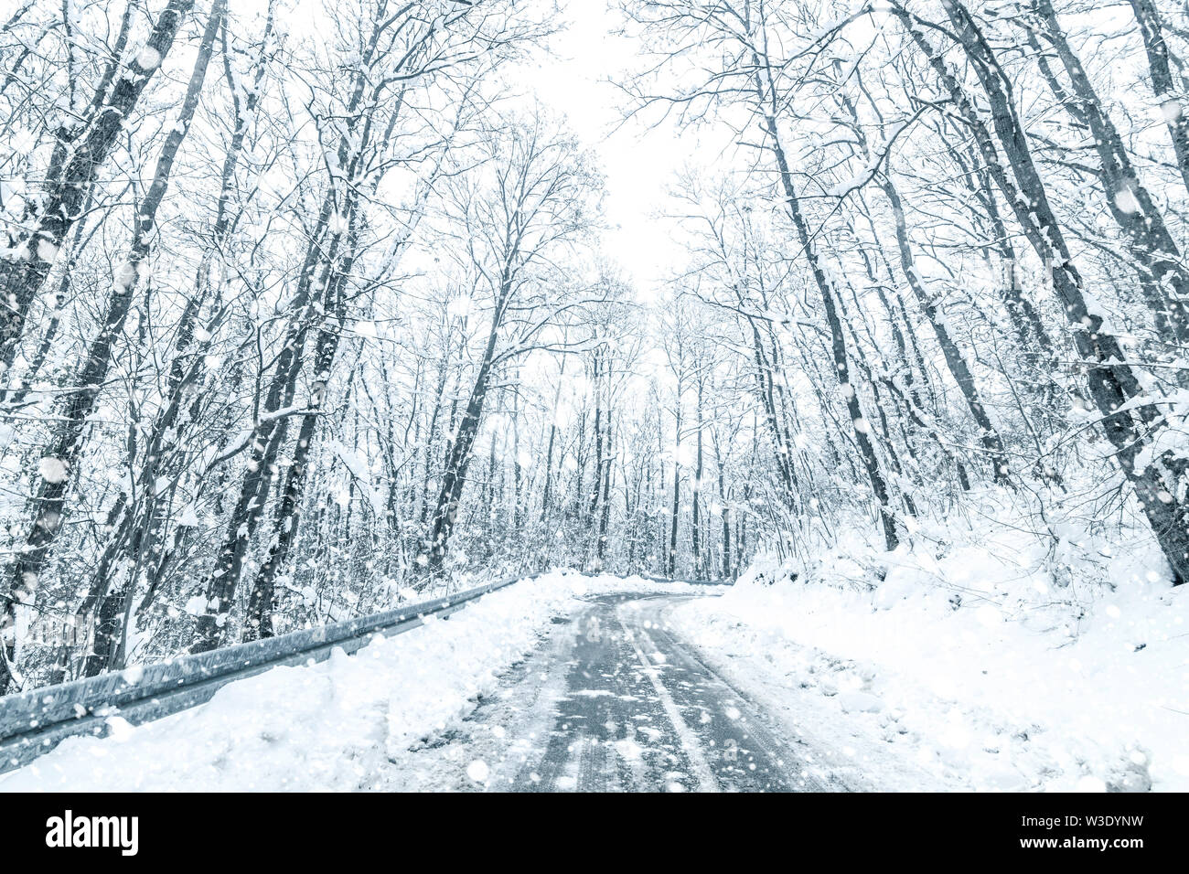 Winter forest snow road. Forest road winter snow view Stock Photo - Alamy