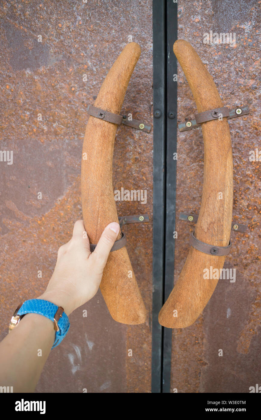 Hand hold handle of closed door, stock photo Stock Photo - Alamy