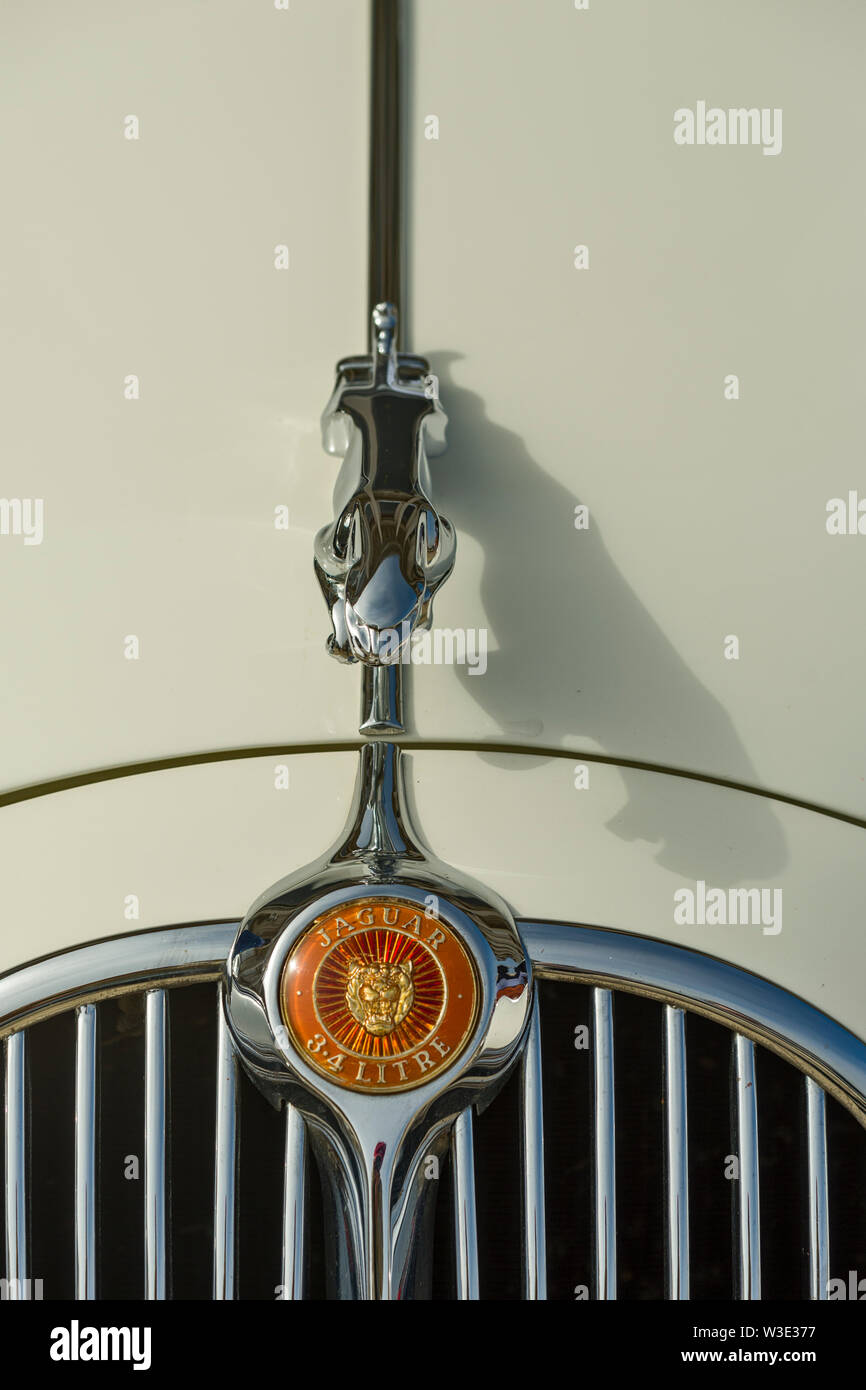 Jaguar logo on vintage car hi-res stock photography and images - Alamy