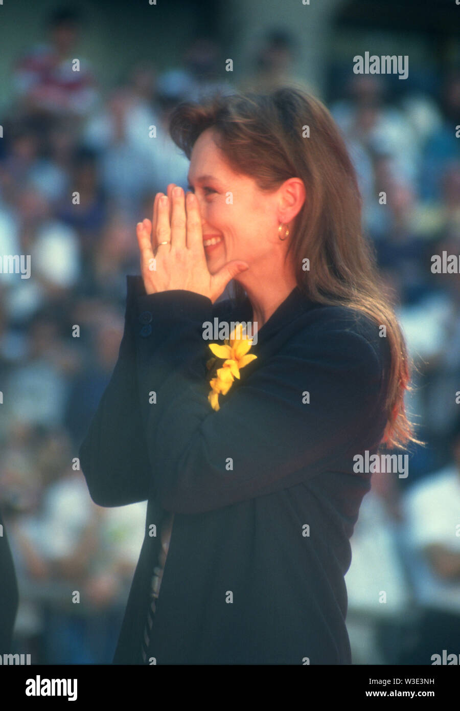 Hollywood, California, USA 25th September 1994 Actress Meryl Streep ...