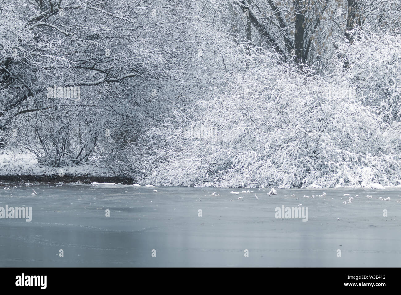 Frozen lake in winter, Winter lake scene Stock Photo - Alamy