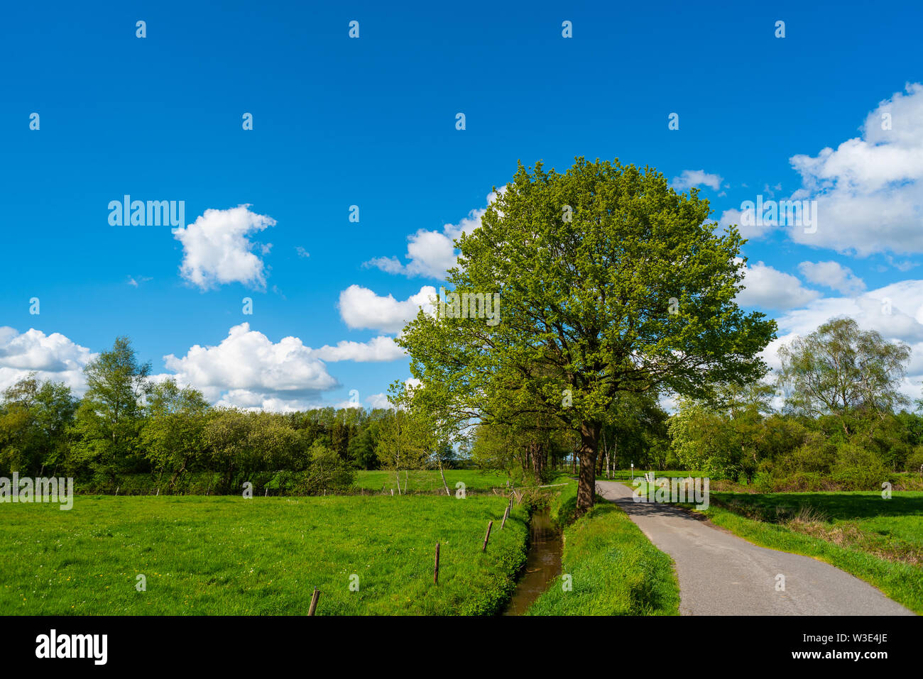 Summer day in nature hi-res stock photography and images - Alamy