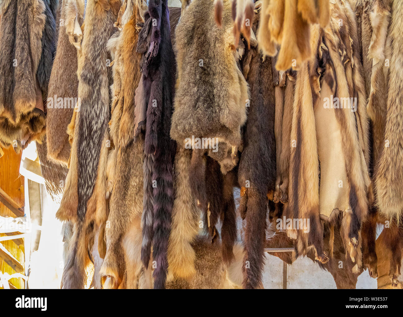 various hanging fur pieces seen at a medieval market Stock Photo - Alamy