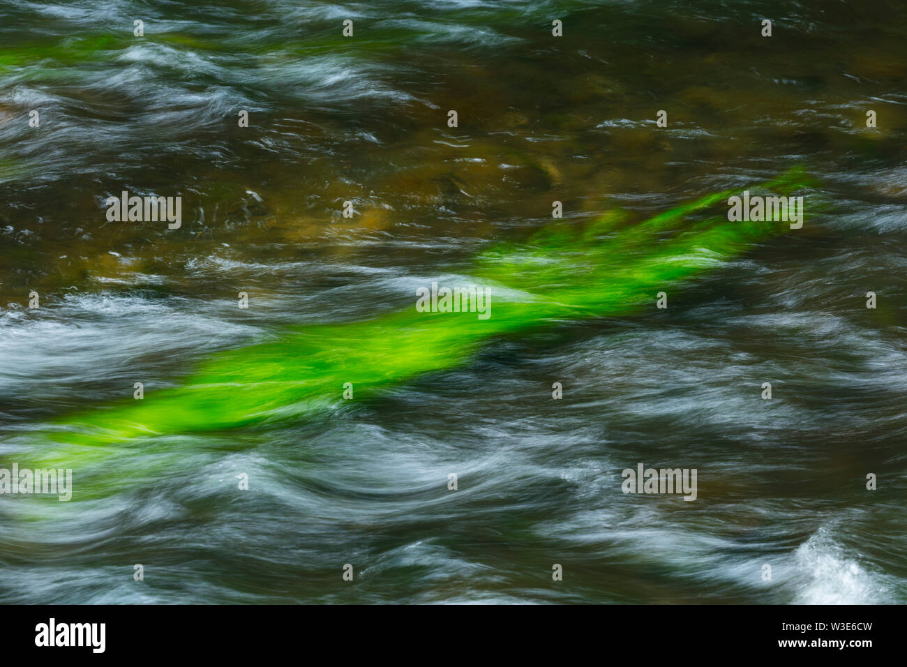 Kamenice River, Bohemian Switzerland National Park, Czech Republic ...