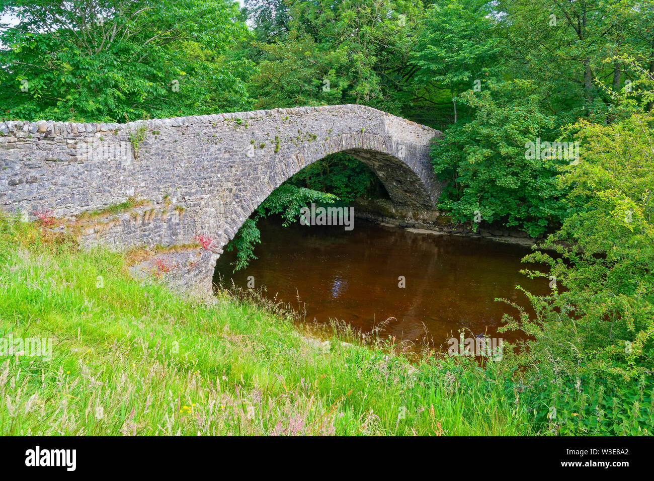 An old narrow stone bridge, almost overgrown by trees, crosses the ...