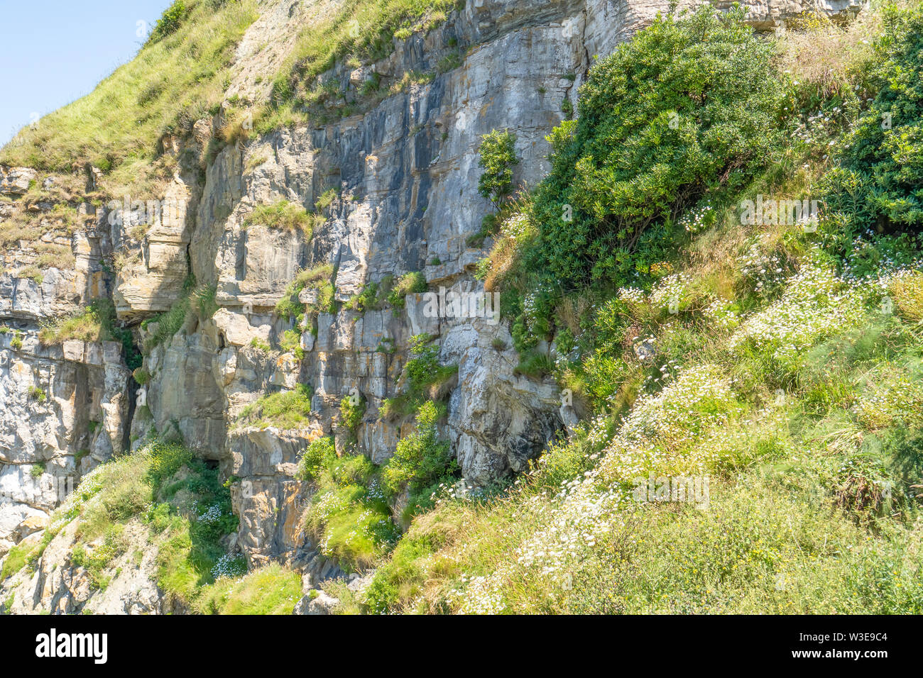 Rocks overgrown with grass. Steep mountain cliff on a sunny day Stock ...