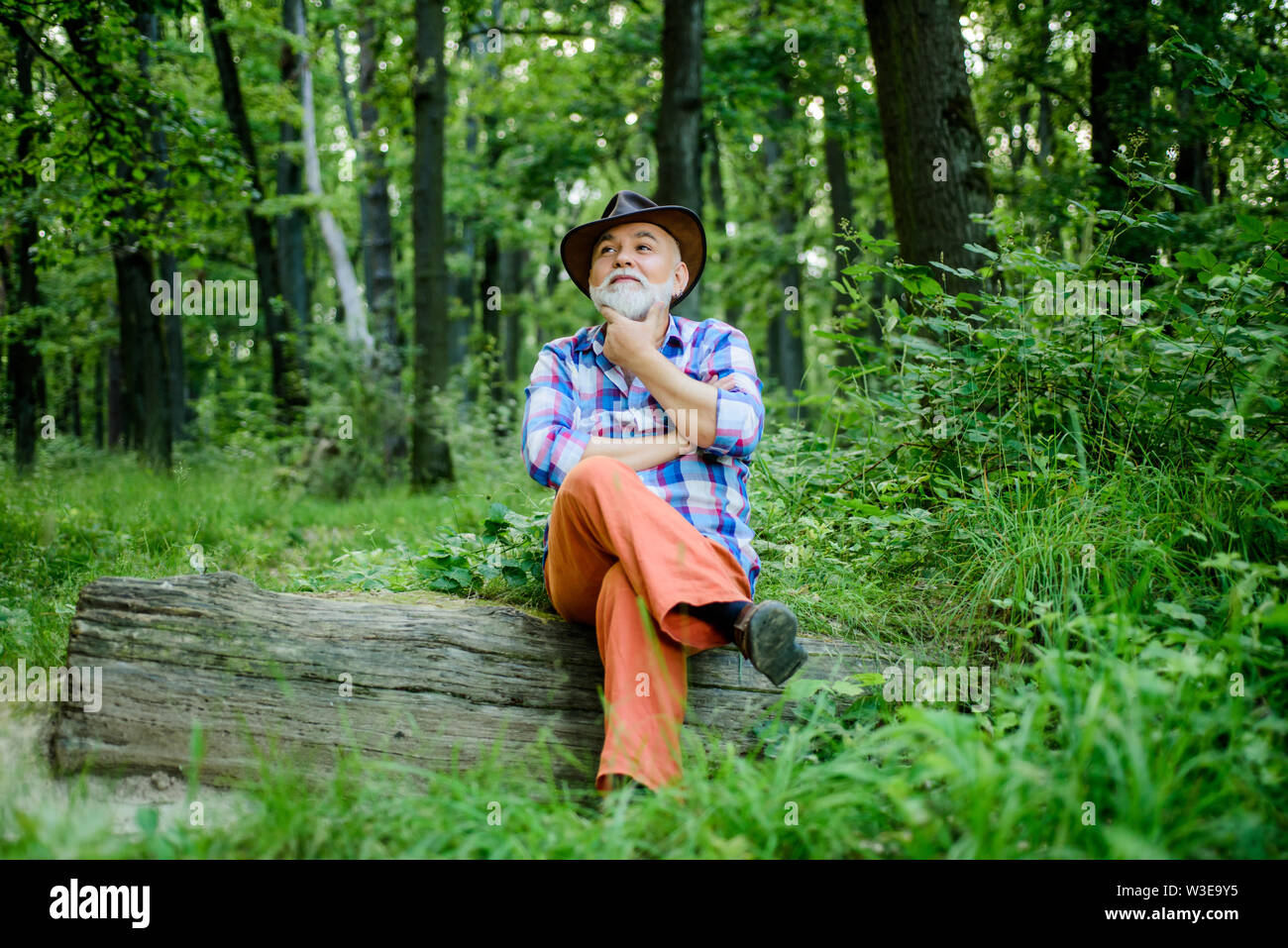 thoughtful man. hiking in deep wood. forest owner. summer or spring ...