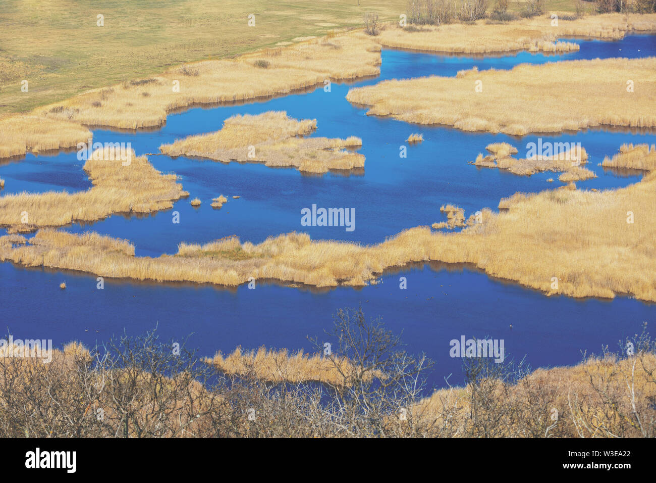 Floodplain meadow in spring. Natural background Stock Photo - Alamy