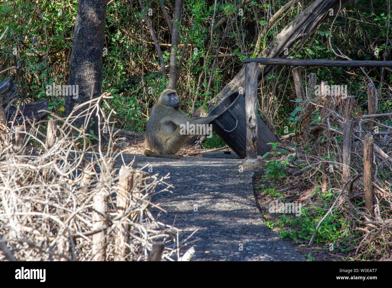Resting your feet hi-res stock photography and images - Alamy