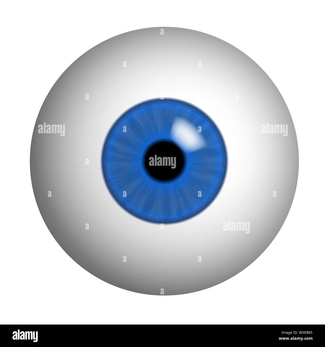 Realistic illustration of human eye with blue iris, pupil and ...