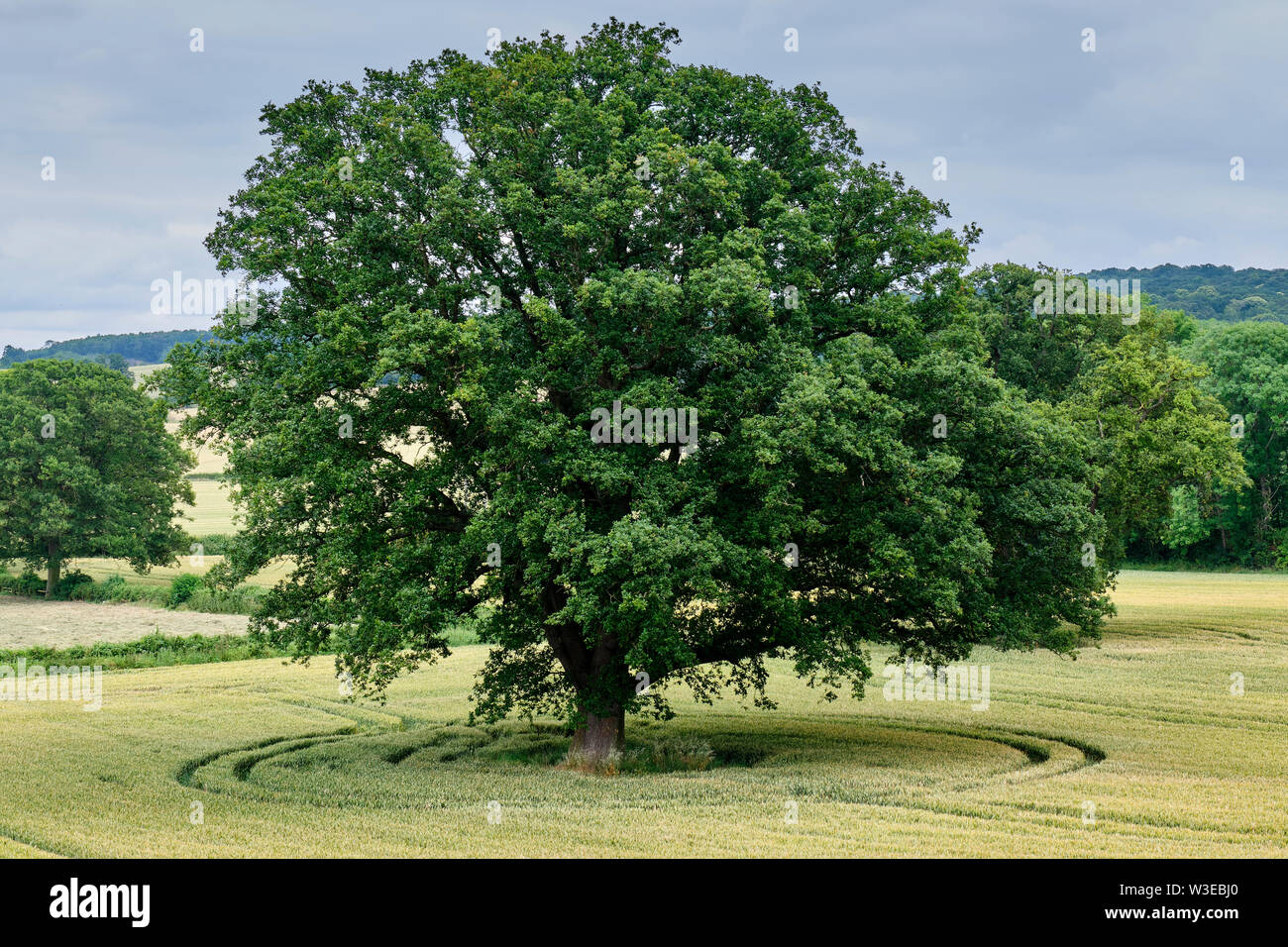 English crop circles hi-res stock photography and images - Alamy