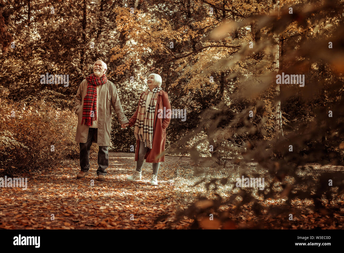 Happy elderly couple taking a stoll in a park Stock Photo - Alamy