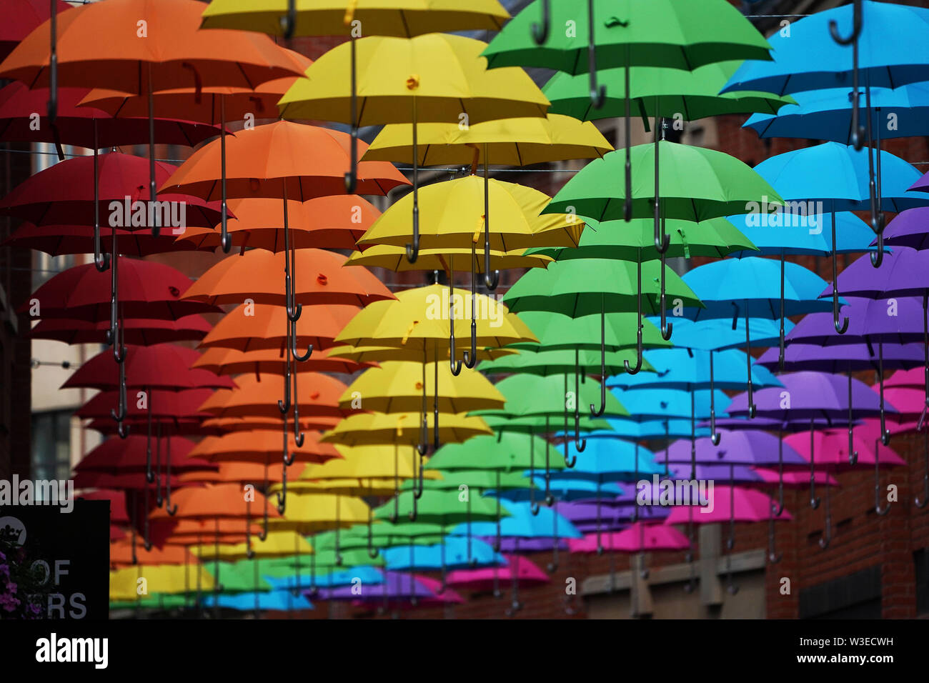 Umbrellas suspended in Durham city centre as part of The Umbrella ...