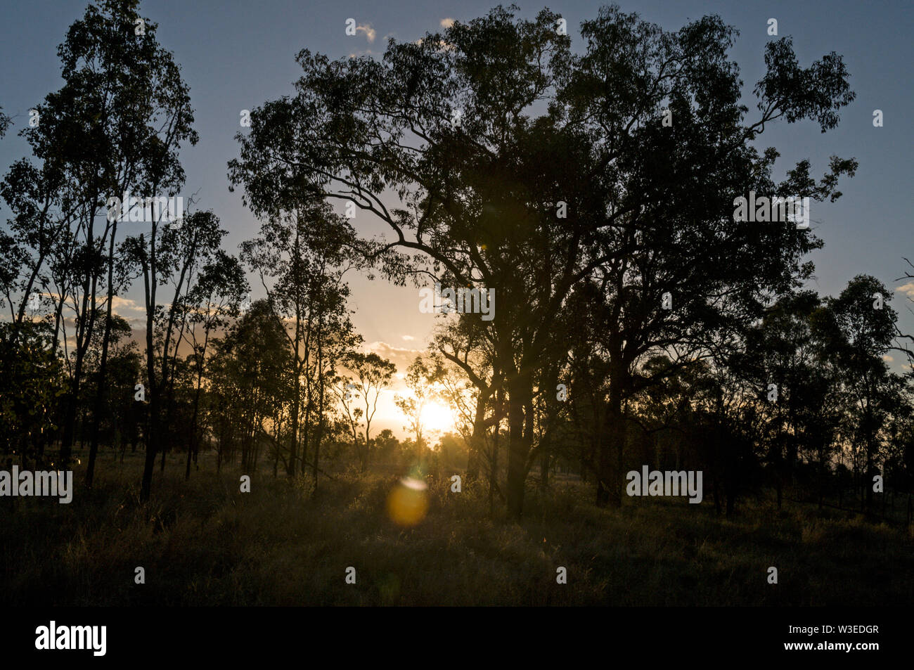 Late afternoon sun setting over Beef cattle country between Rubyvale ...