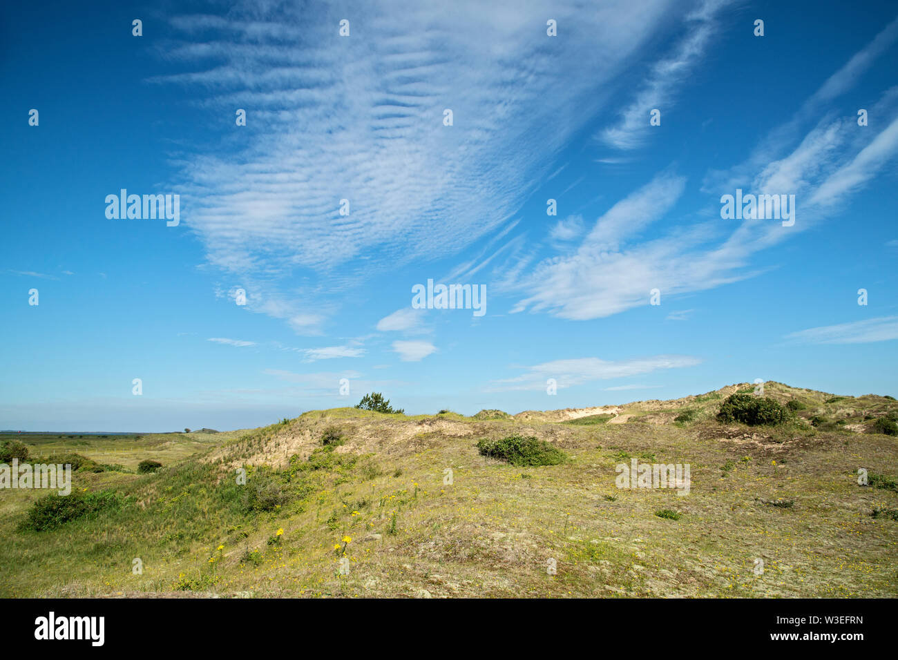 Holkham wildlife reserve hi-res stock photography and images - Alamy
