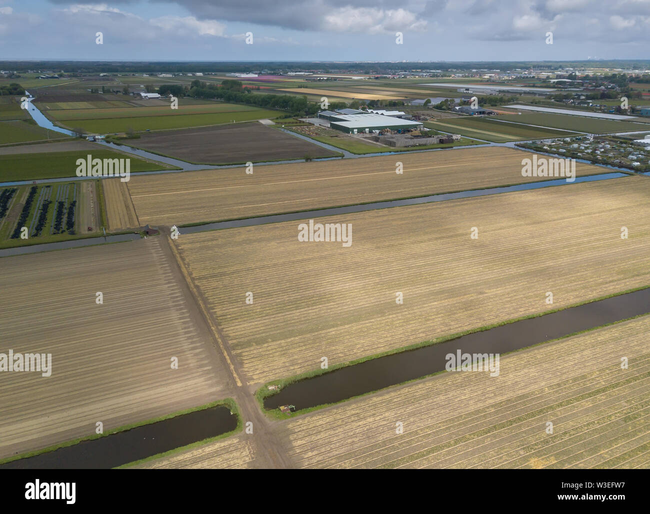 Agricultural fields with natural organic food crops growing in ...