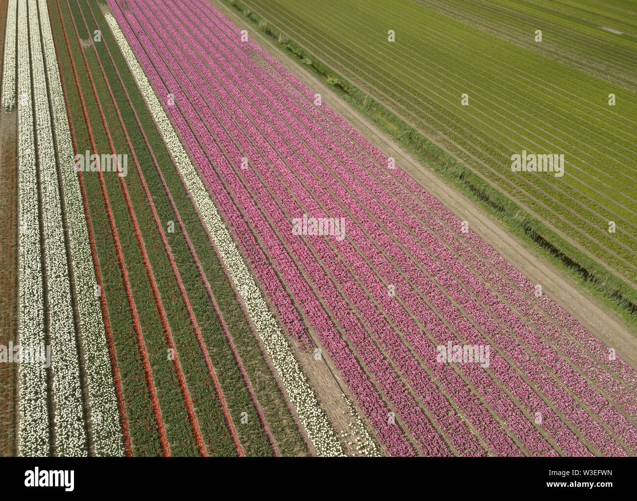 Beautiful romantic aerial shot flying hi-res stock photography and ...