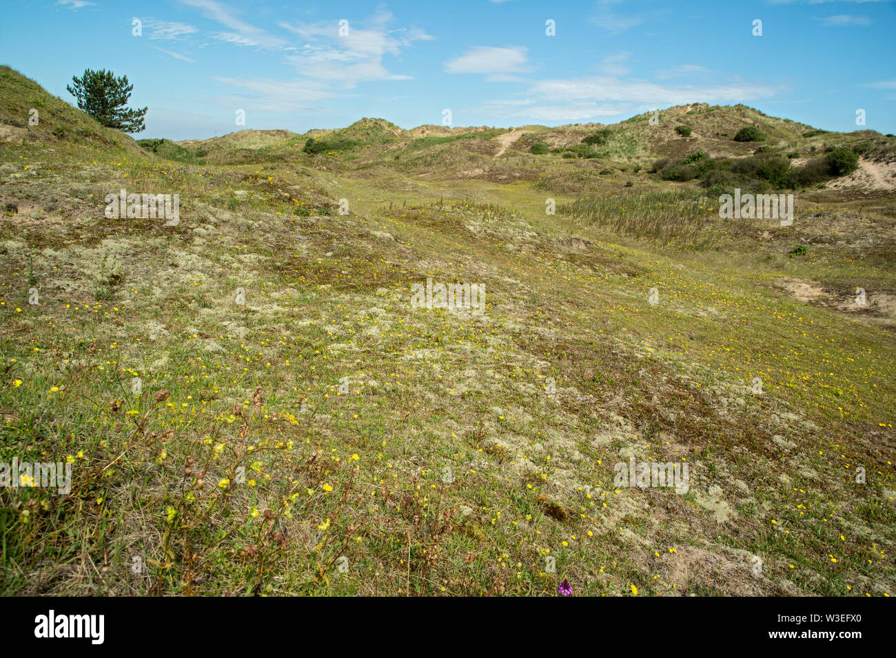 Holkham wildlife reserve hi-res stock photography and images - Alamy