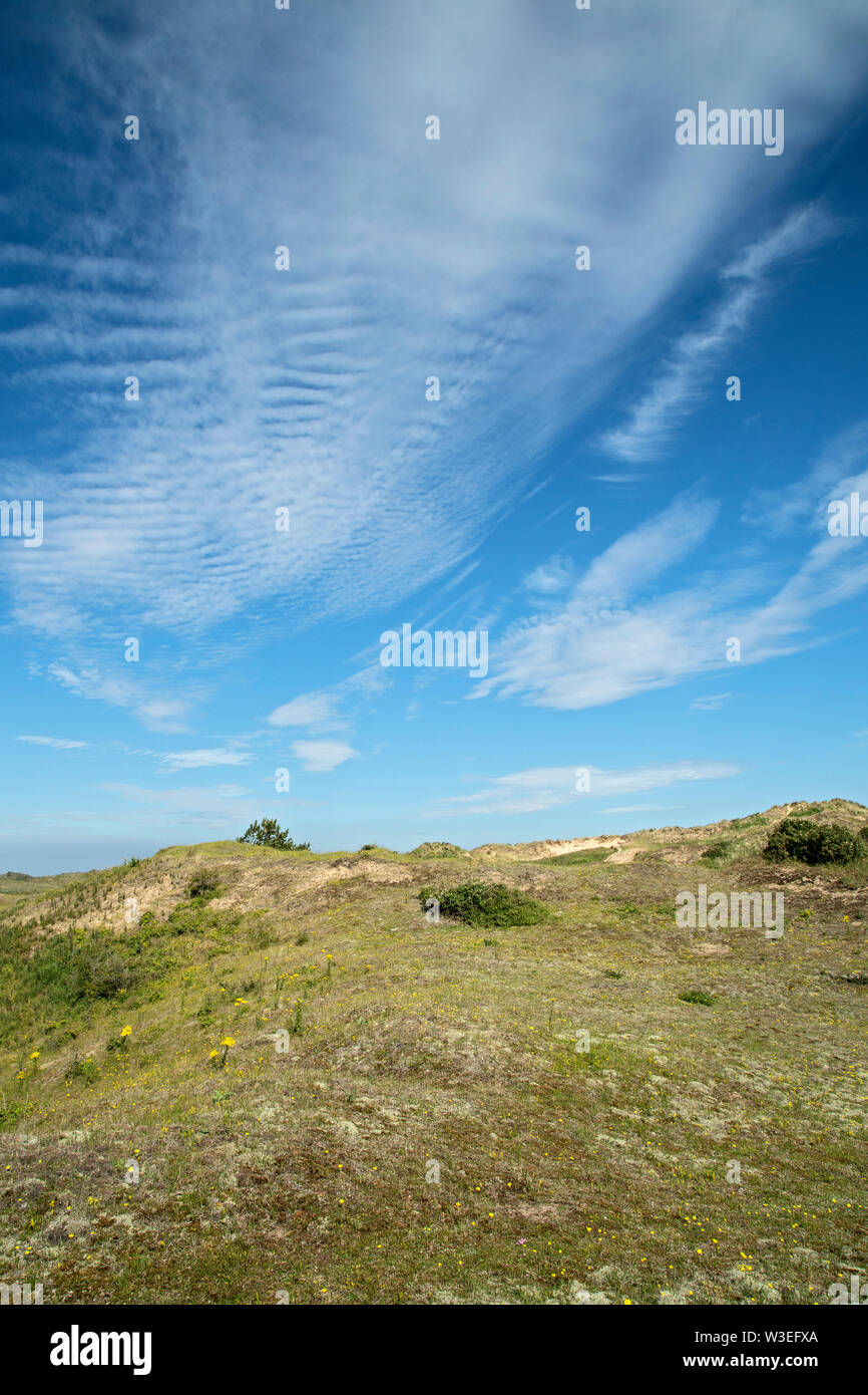 Holkham wildlife reserve hi-res stock photography and images - Alamy