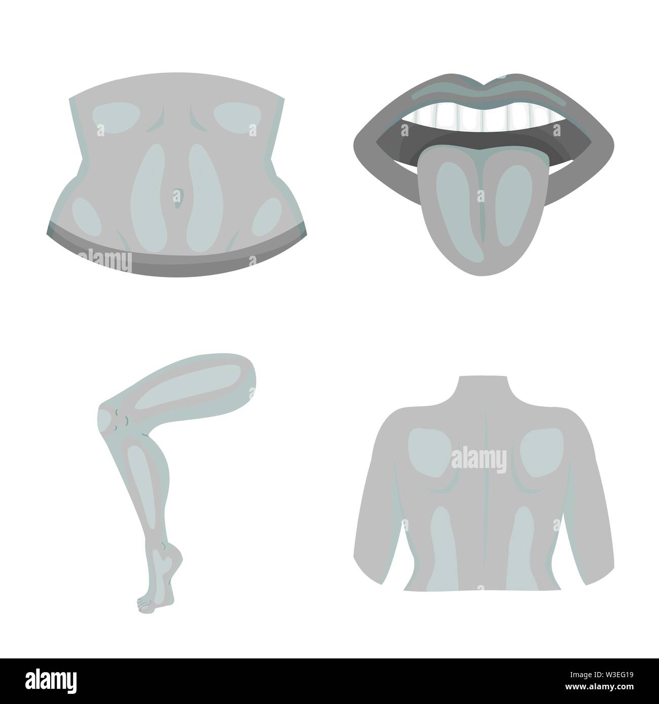 Isolated object of body and part sign. Collection of body and anatomy ...