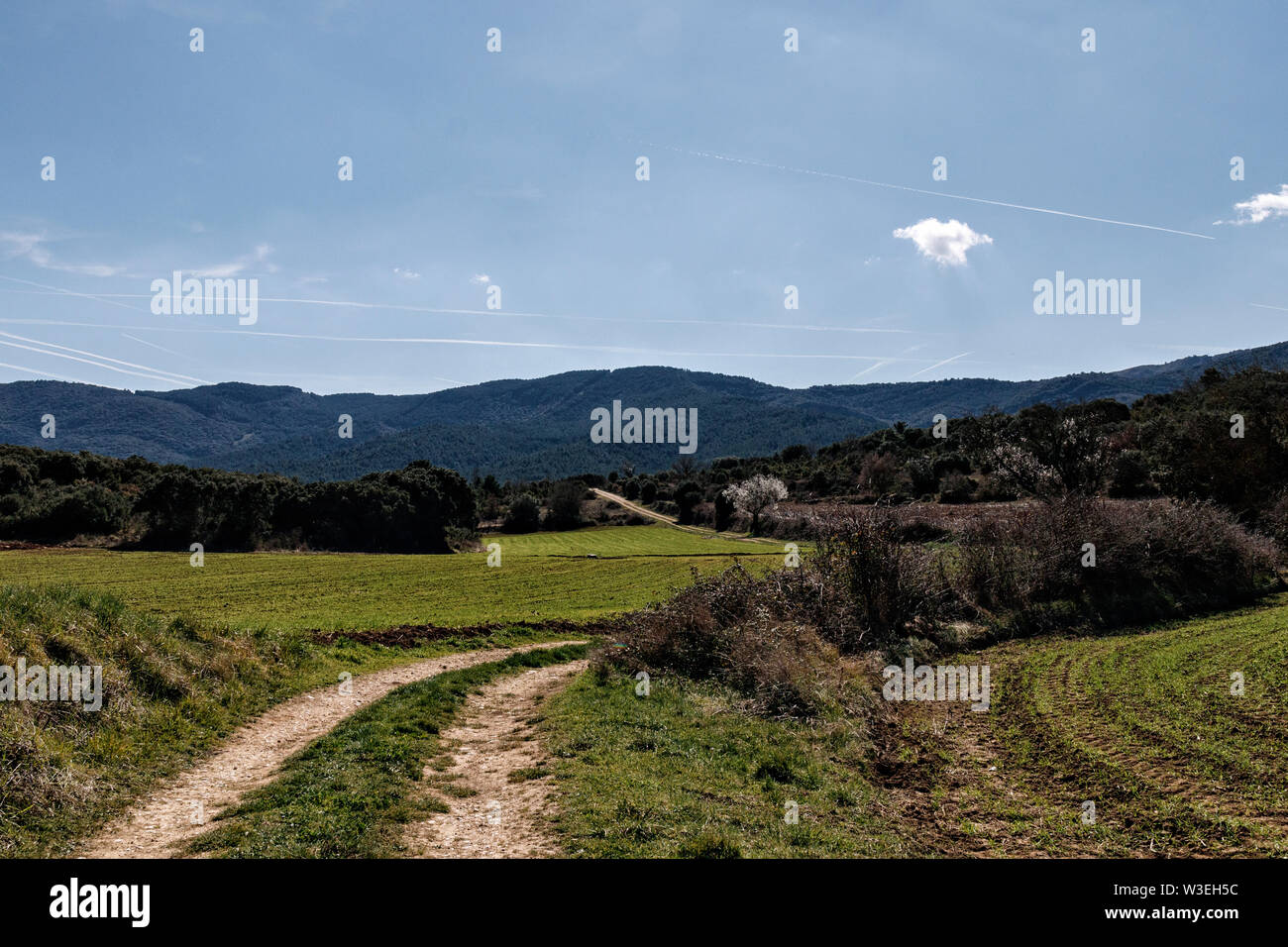 Castilla y leon spain countryside hi-res stock photography and images ...