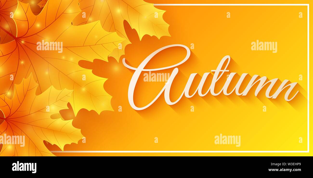 Autumn web banner with maple leaves. Seasonal background for your ...