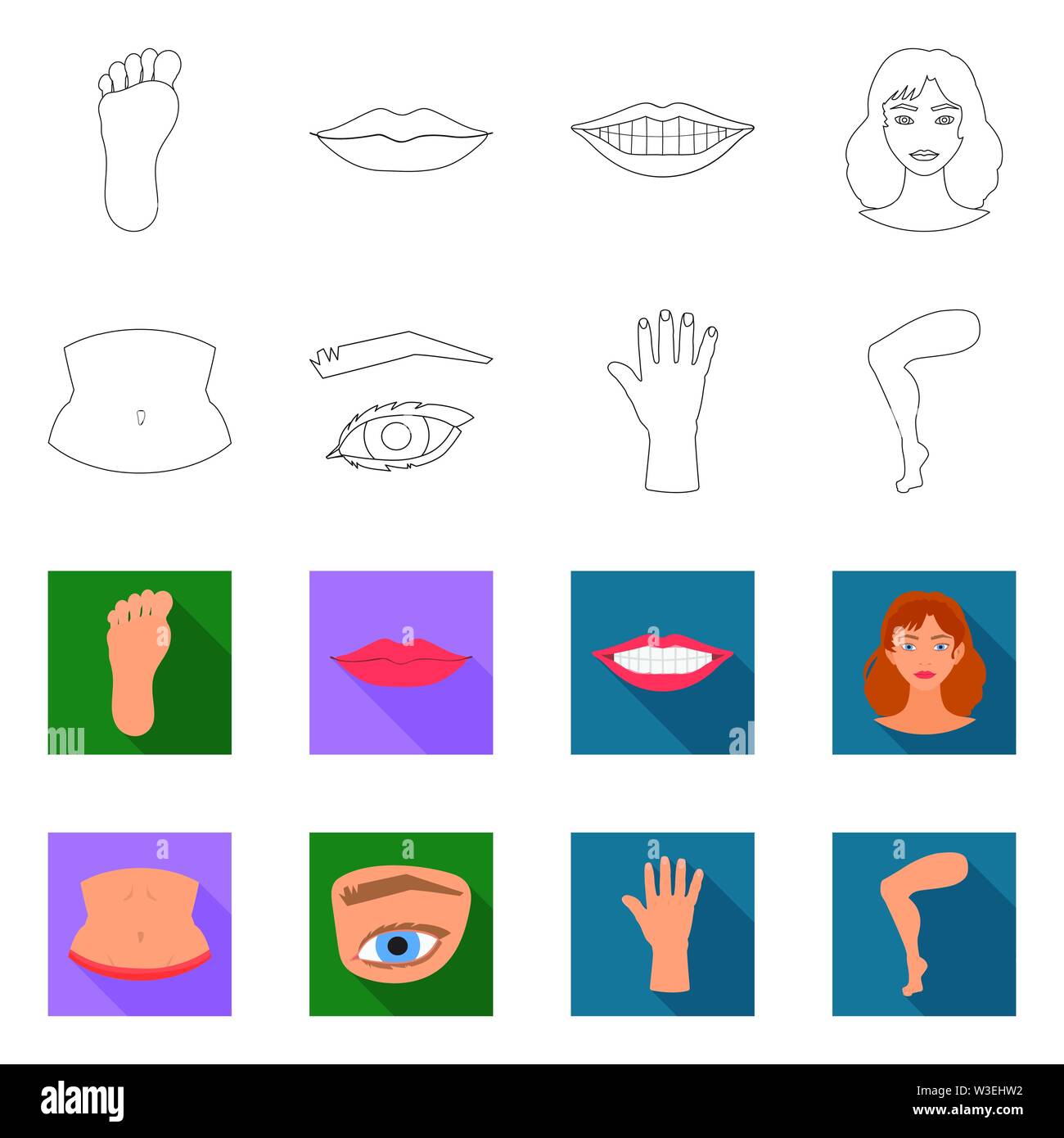 Vector illustration of body and part sign. Set of body and anatomy ...