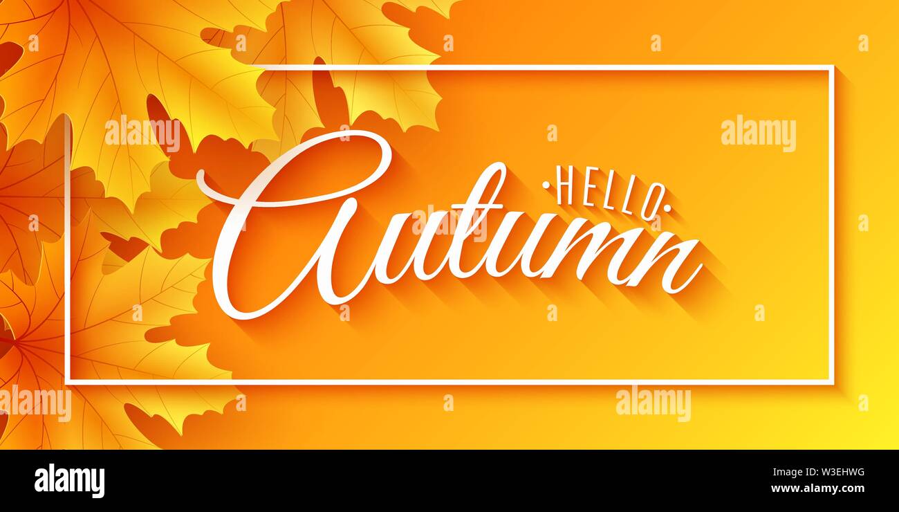Autumn web banner with maple leaves. Seasonal background for your ...