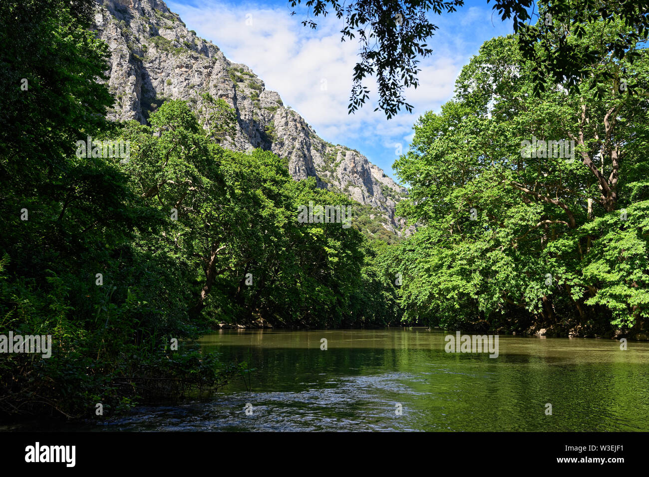 Tembi hi-res stock photography and images - Alamy