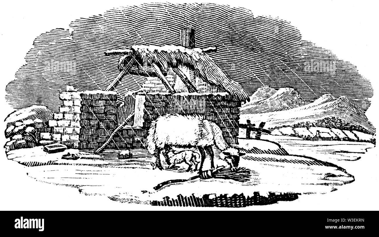 Pastoral Tailpiece. Wood cut engraved illustration, taken from 'Thomas ...