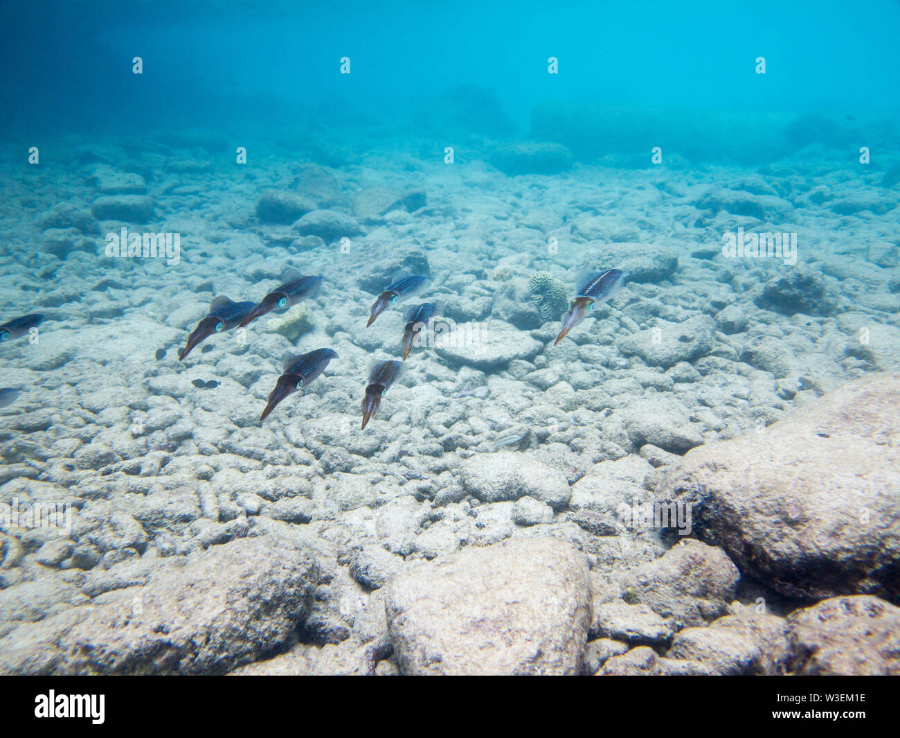 Round reef hi-res stock photography and images - Alamy