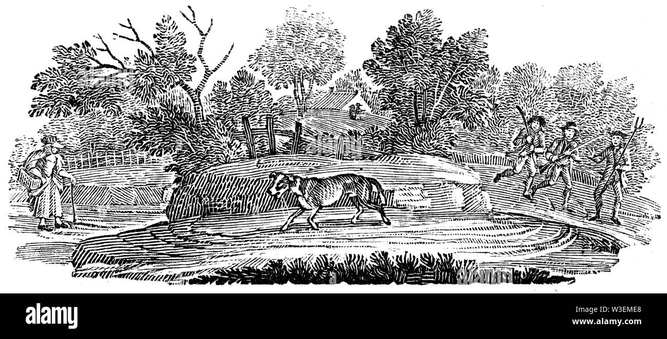Pastoral Tailpiece. Wood cut engraved illustration, taken from 'Thomas ...