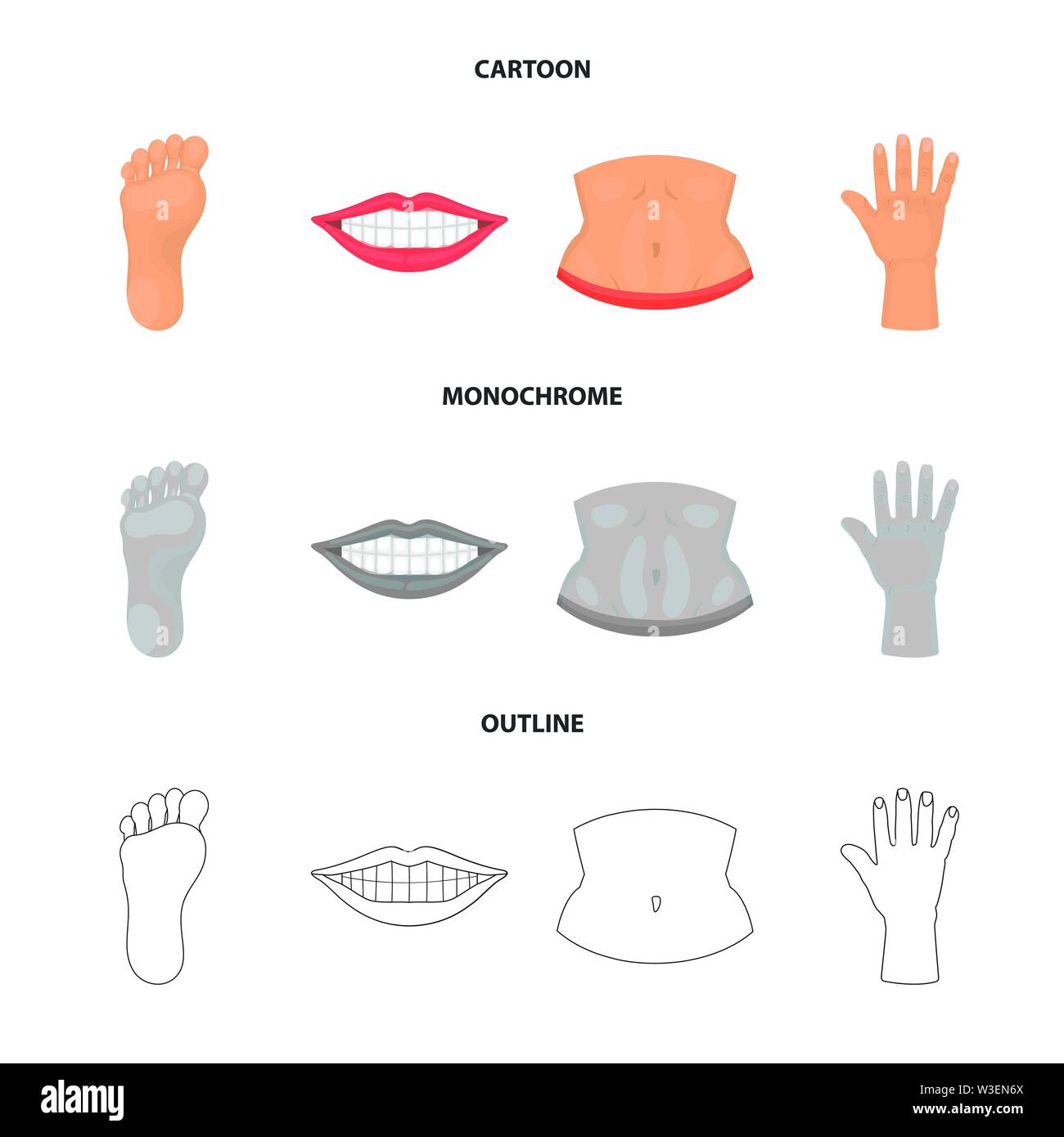 Isolated object of body and part symbol. Collection of body and anatomy ...