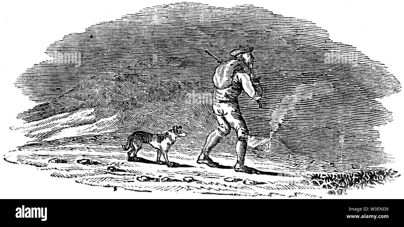 Thomas bewick design Black and White Stock Photos & Images - Alamy