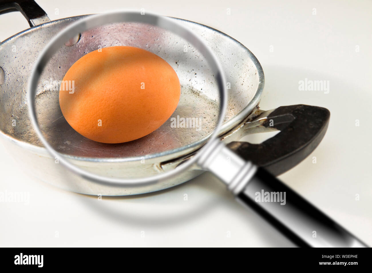 Quality control about salmonella bacterium on eggs on cooking pan ...