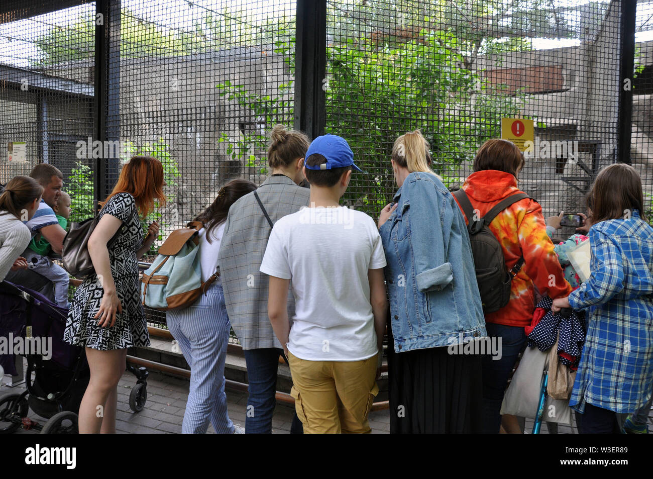 Photographers crowd animal hi-res stock photography and images - Alamy