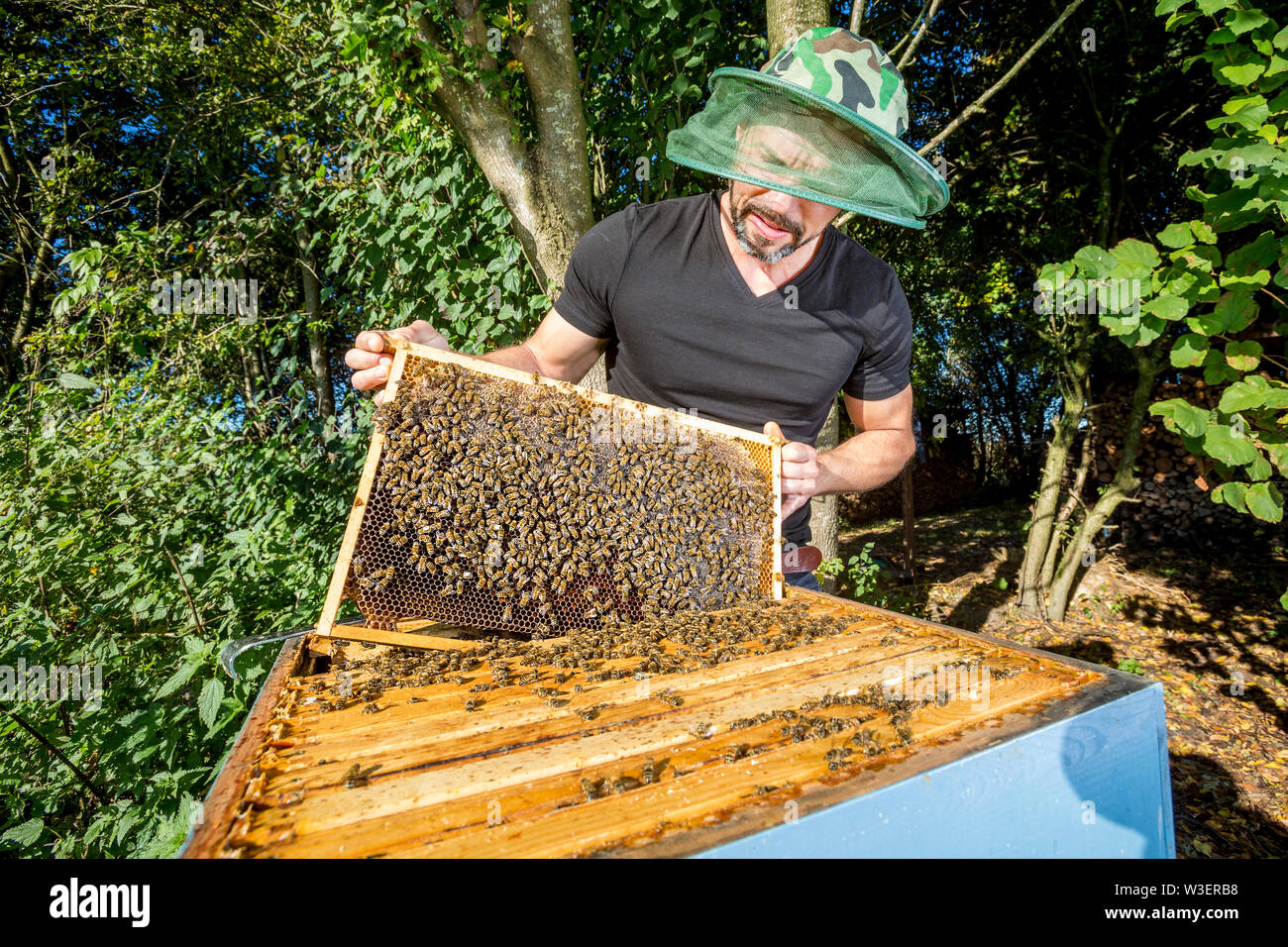 Portrait of male beekeper with hive Stock Photo - Alamy