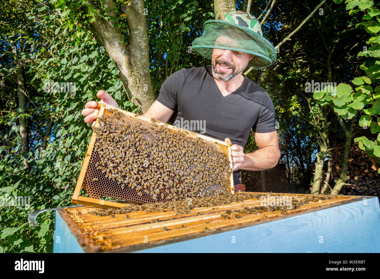 Portrait of male beekeper with hive Stock Photo - Alamy