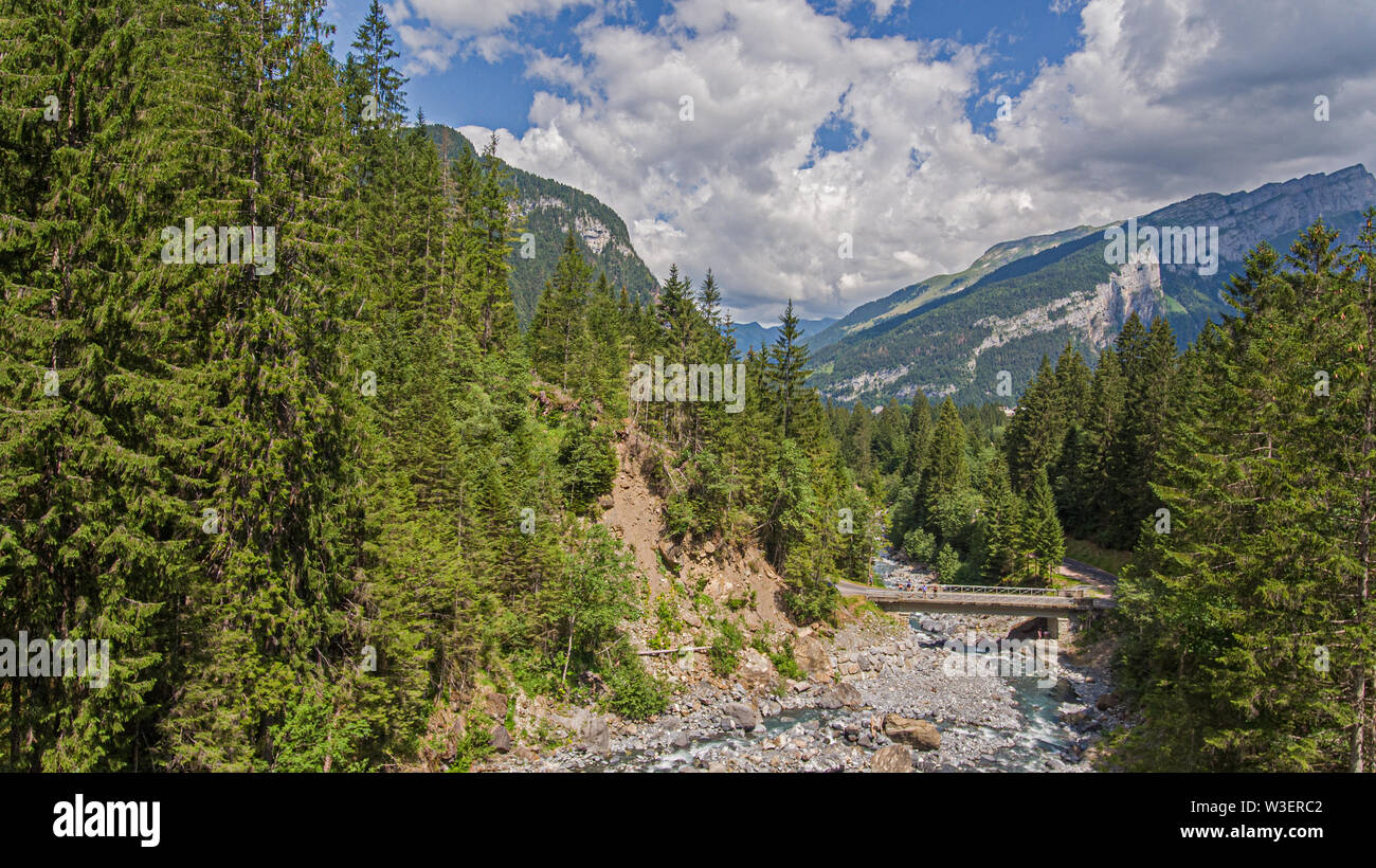 drone view of a alpine river valley and lush green alpine forests ...