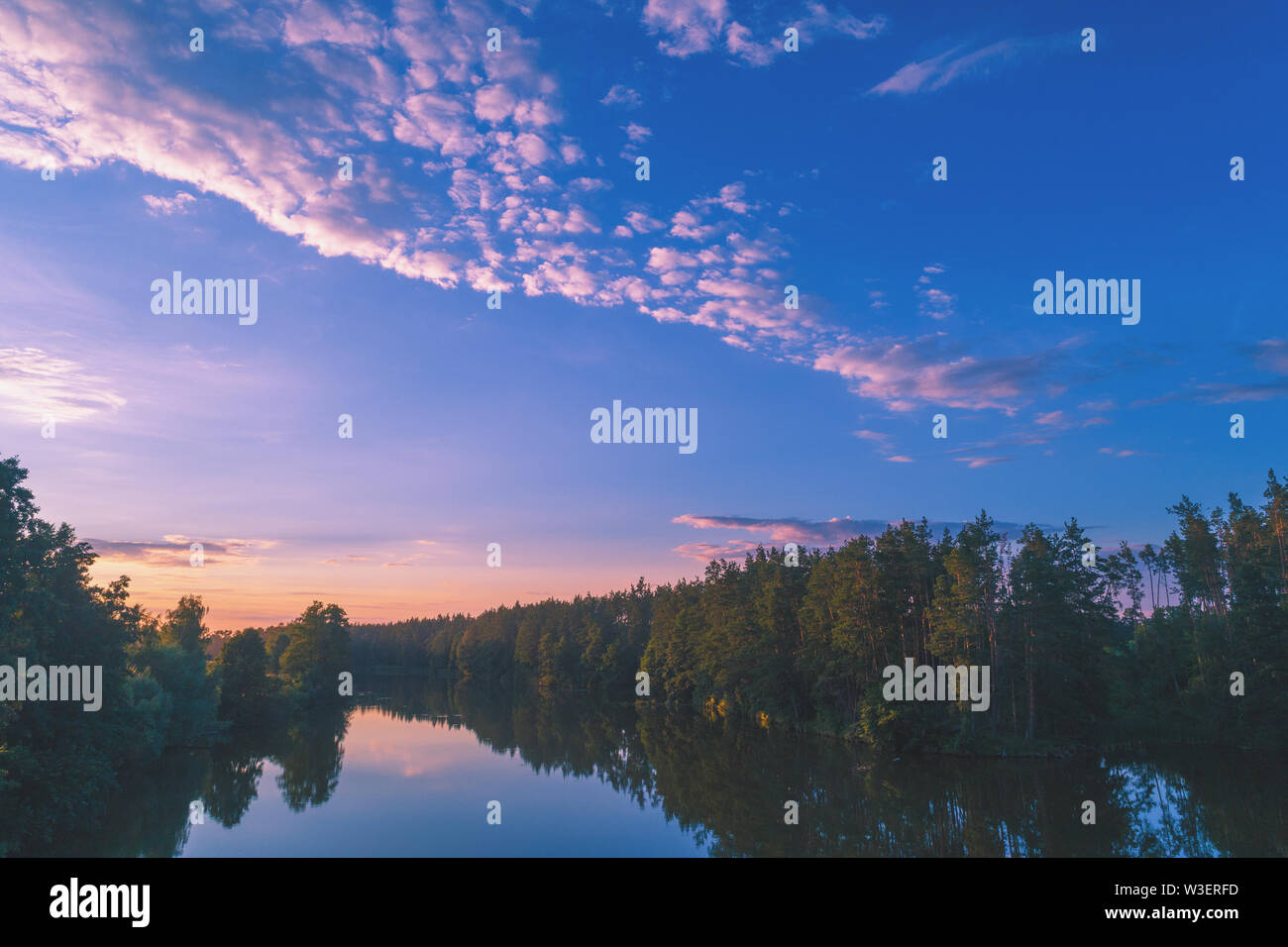 Purple sunrise over wild forest hi-res stock photography and images - Alamy