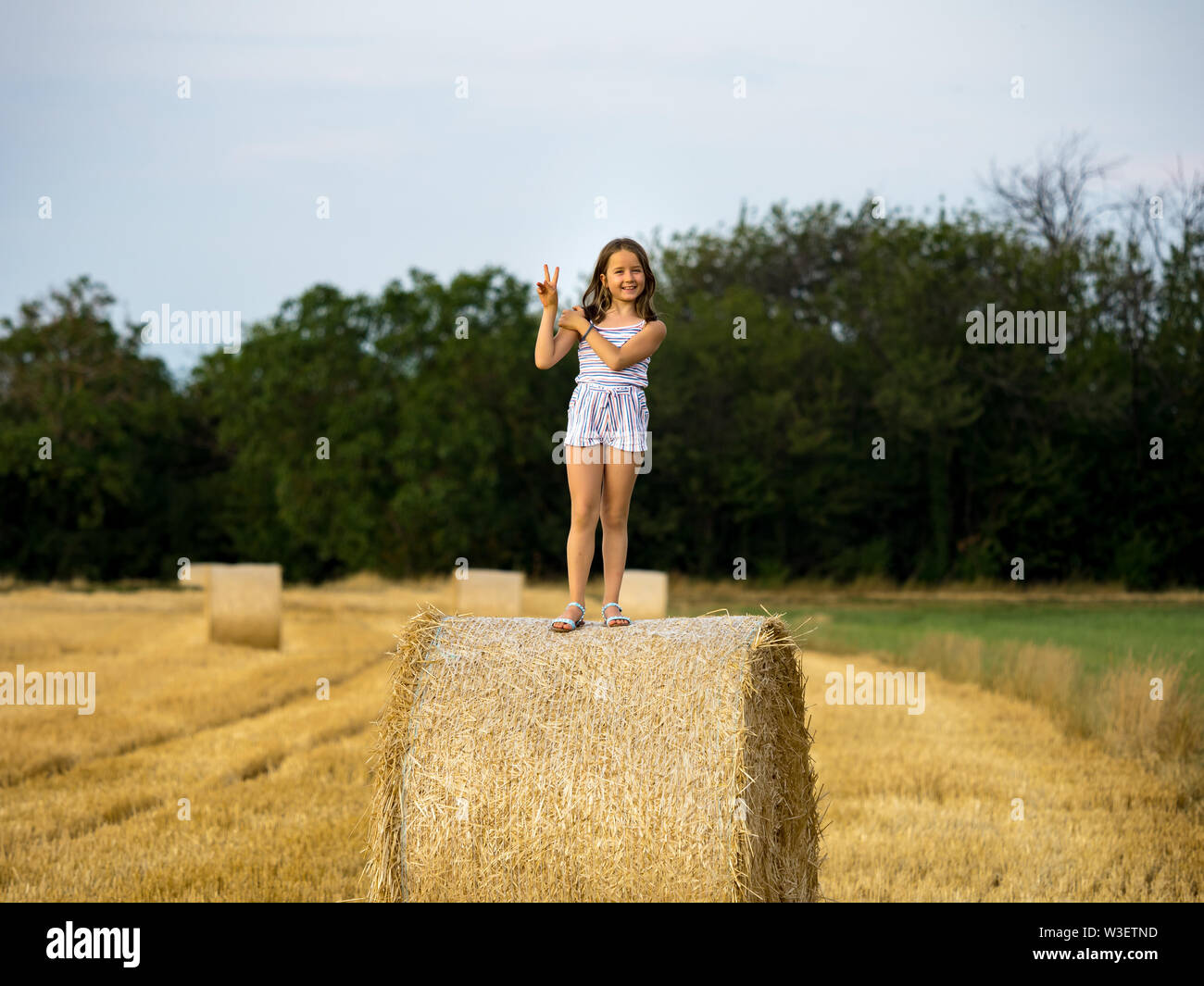 The little girl sits on a haystack in the twilight of day, Alsace ...