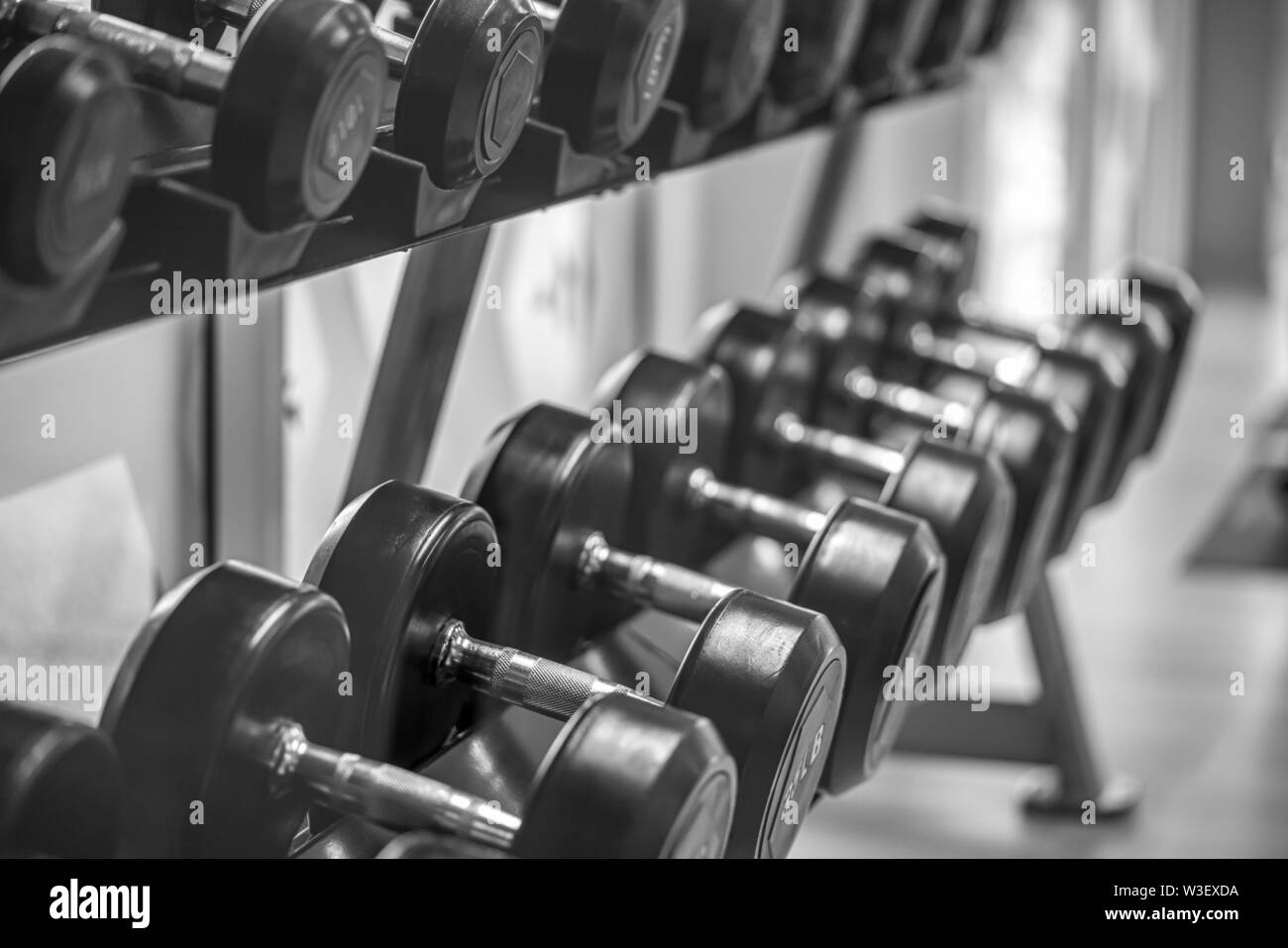 Sport Dumbbell Set | lvsanat.sk