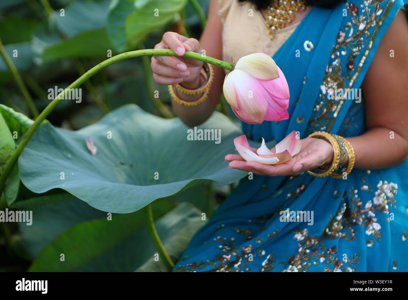 Hands holding lotus hi-res stock photography and images - Alamy