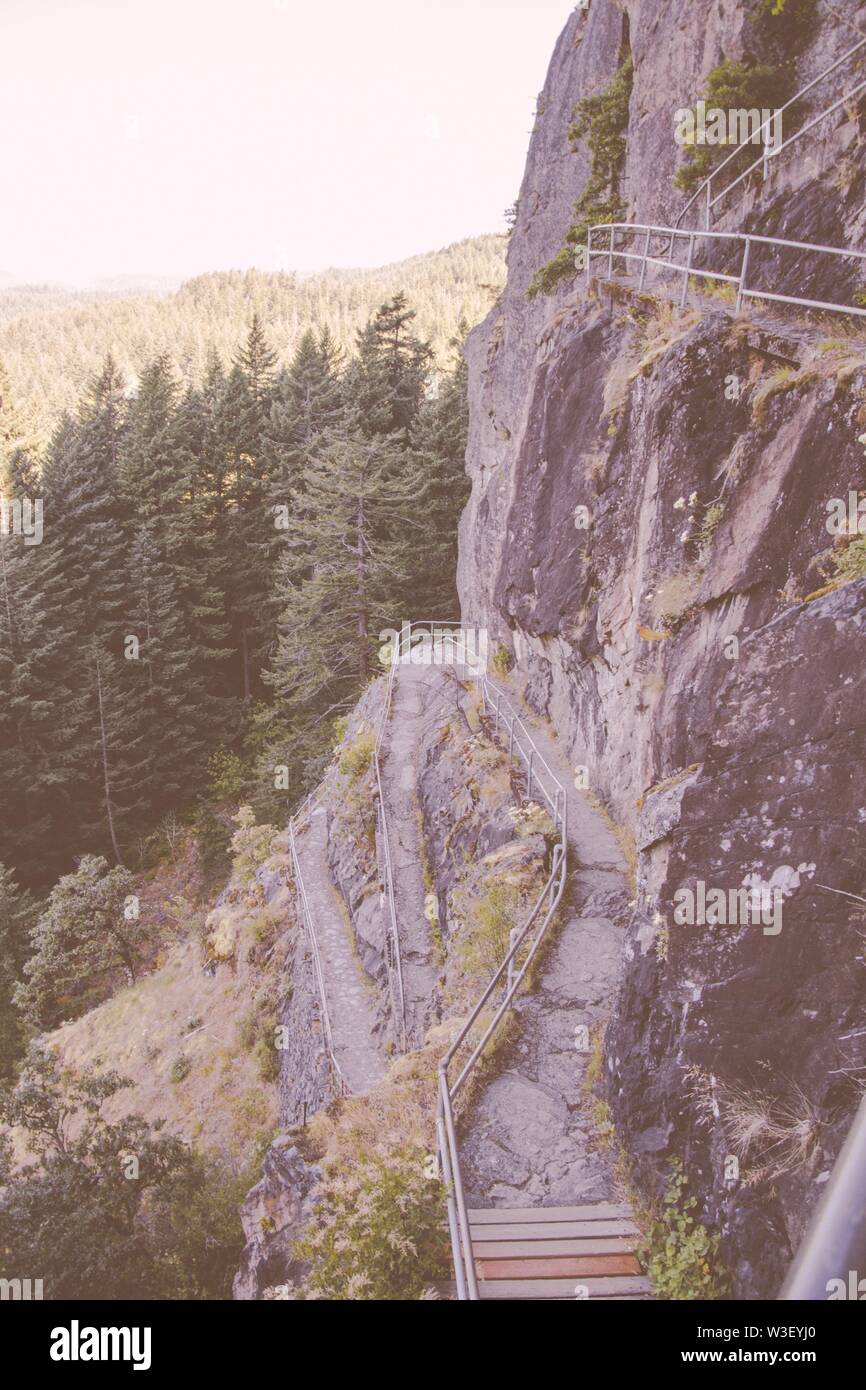 Beautiful view of the cliffside and a forest with a narrow pathway on ...